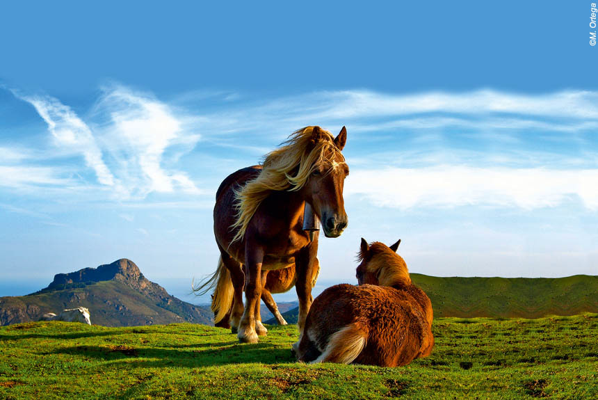 Across Basque Country to the Atlantic | Self-guided walk 6 days ...